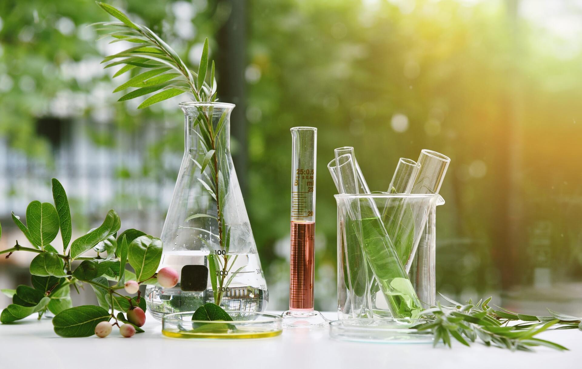 BioHera - Produtos Naturais