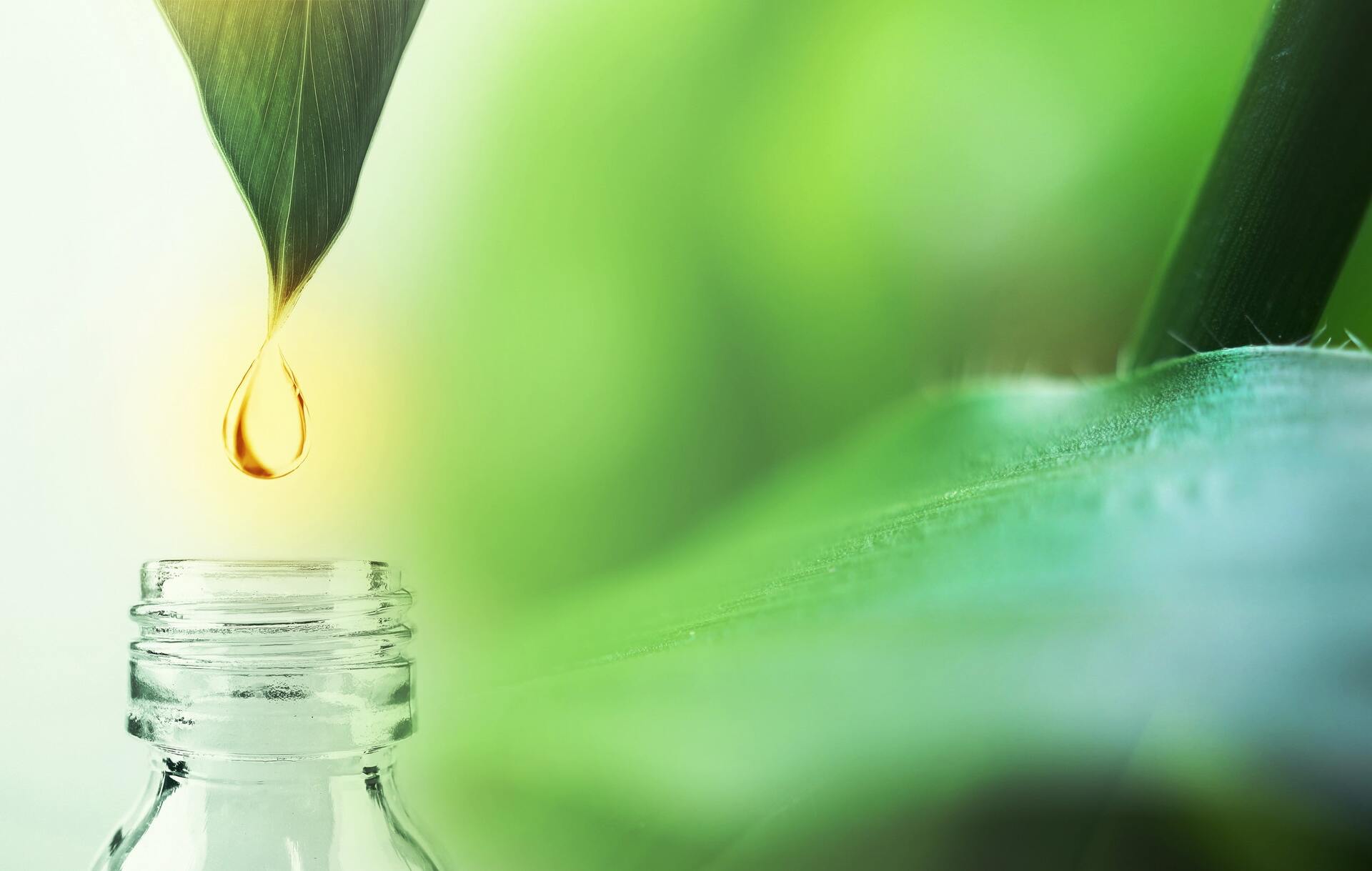 BioHera - Produtos Naturais