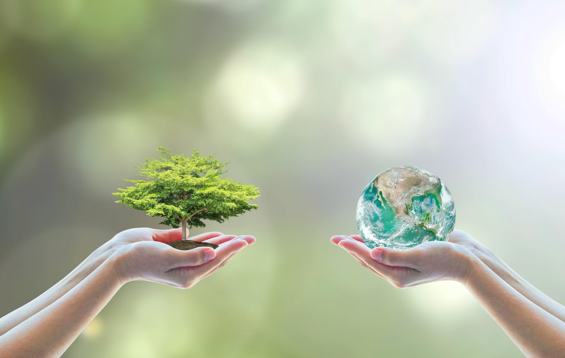 BioHera - Produtos Naturais